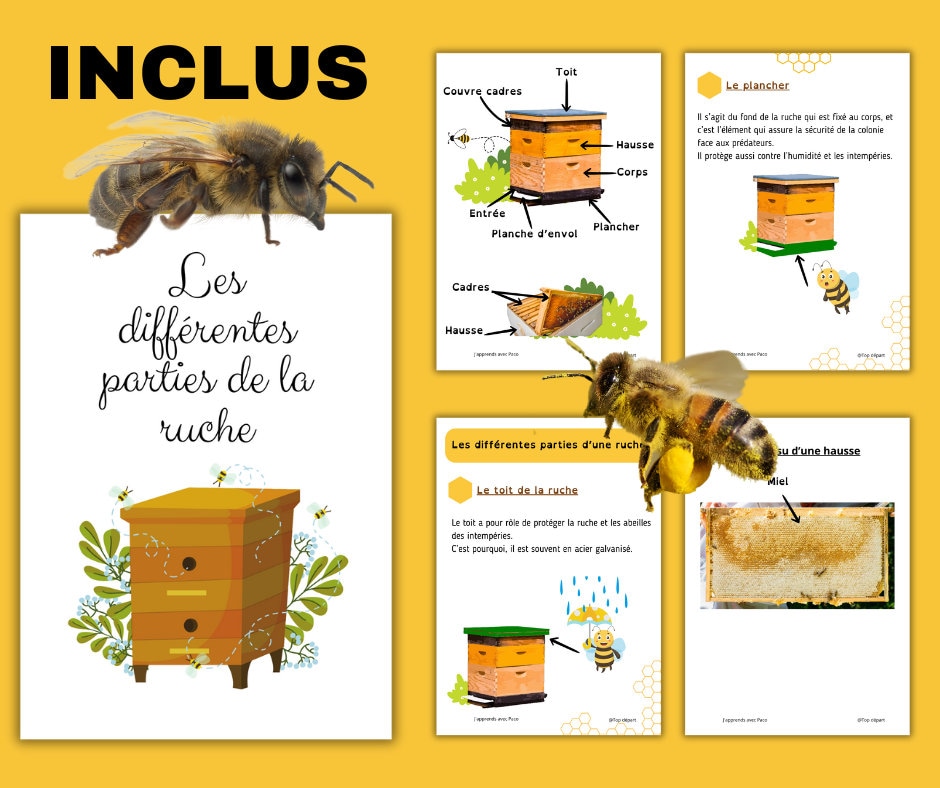 Montessori Super Pack Life Cycle of the Bee + File Different Parts of a ...