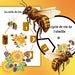 Montessori Super Pack Life Cycle of the Bee + File Different Parts of a ...