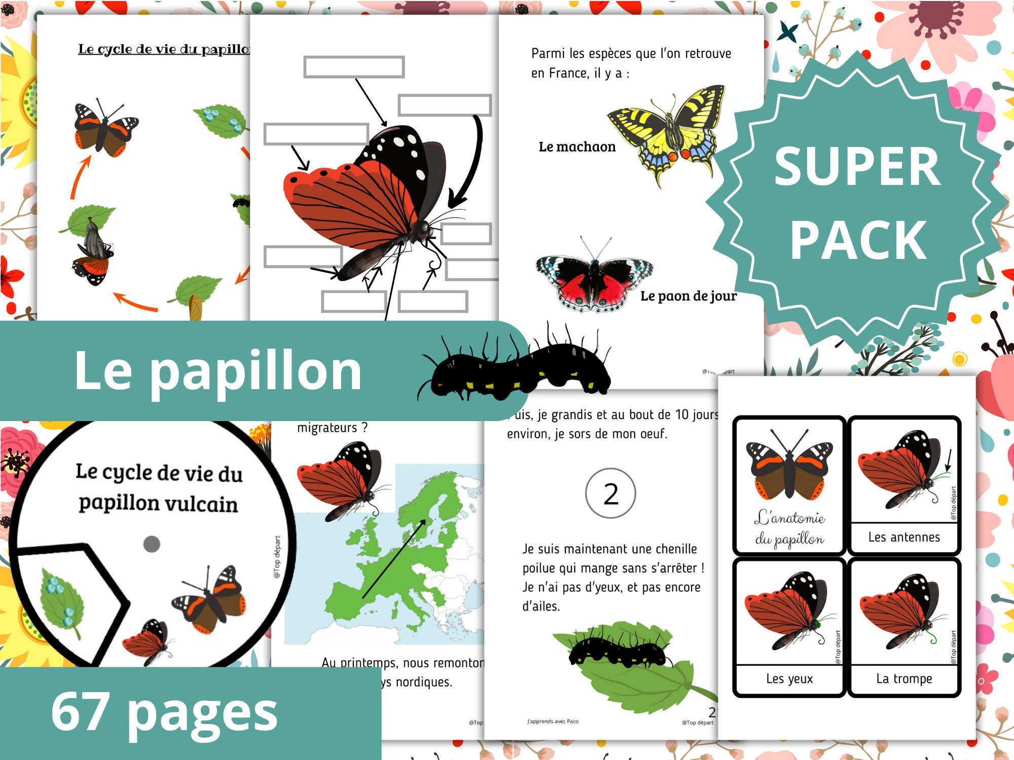 Montessori Super pack Découverte du papillon Fichier Cycle de vie ...
