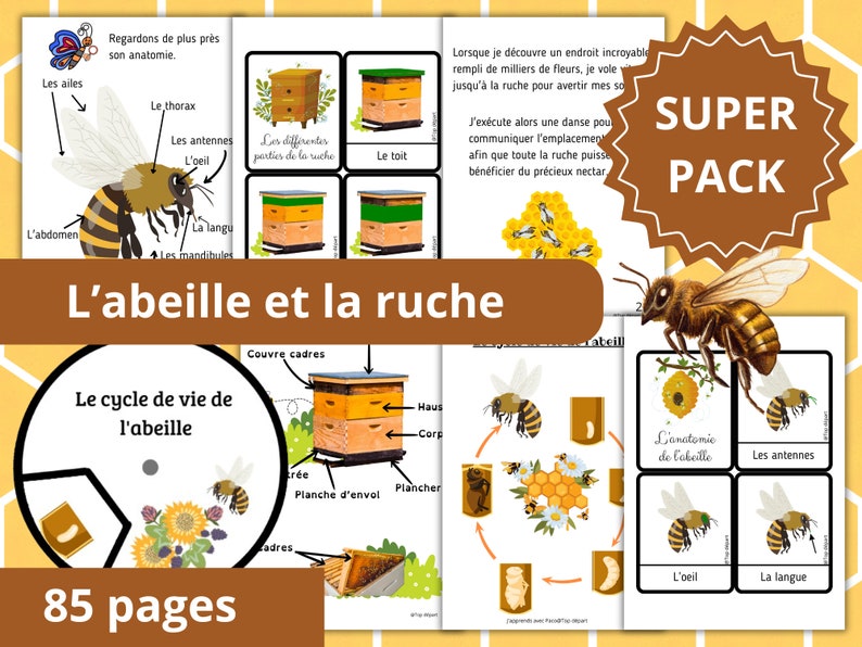 Montessori Super Pack Life Cycle of the Bee + File Different Parts of a ...