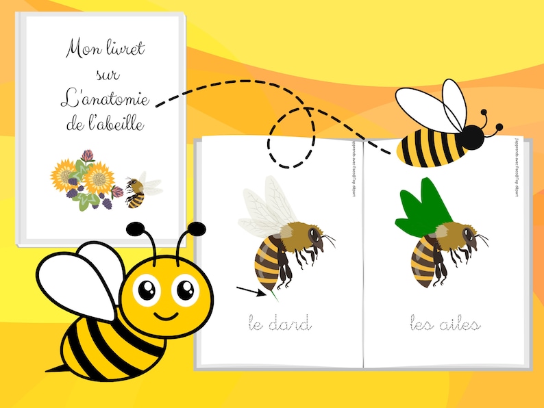 Montessori Super Pack Life Cycle of the Bee + File Different Parts of a ...