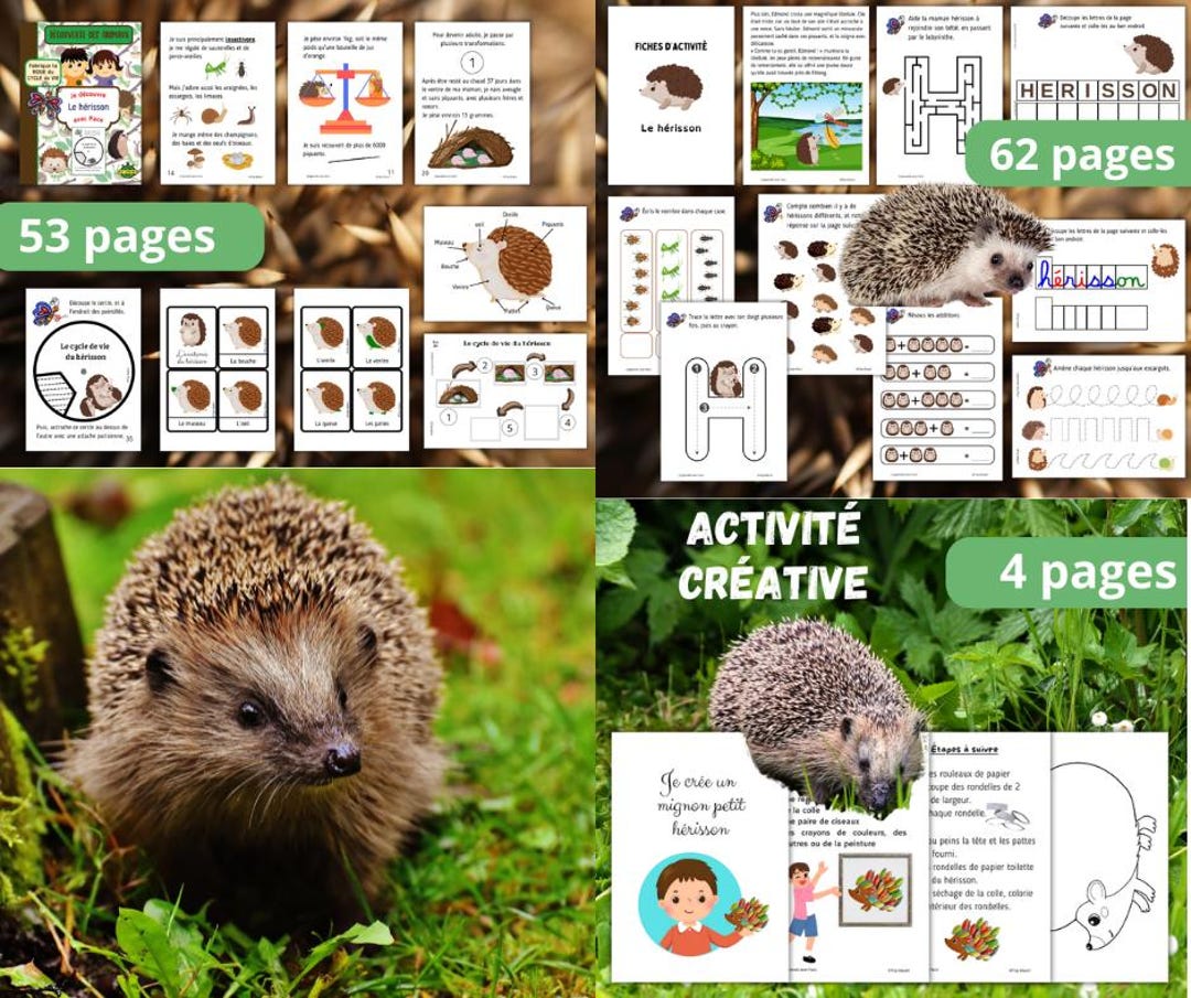 Montessori Mega Pack Hedgehog 119 Fun Educational Activity Sheets Life ...