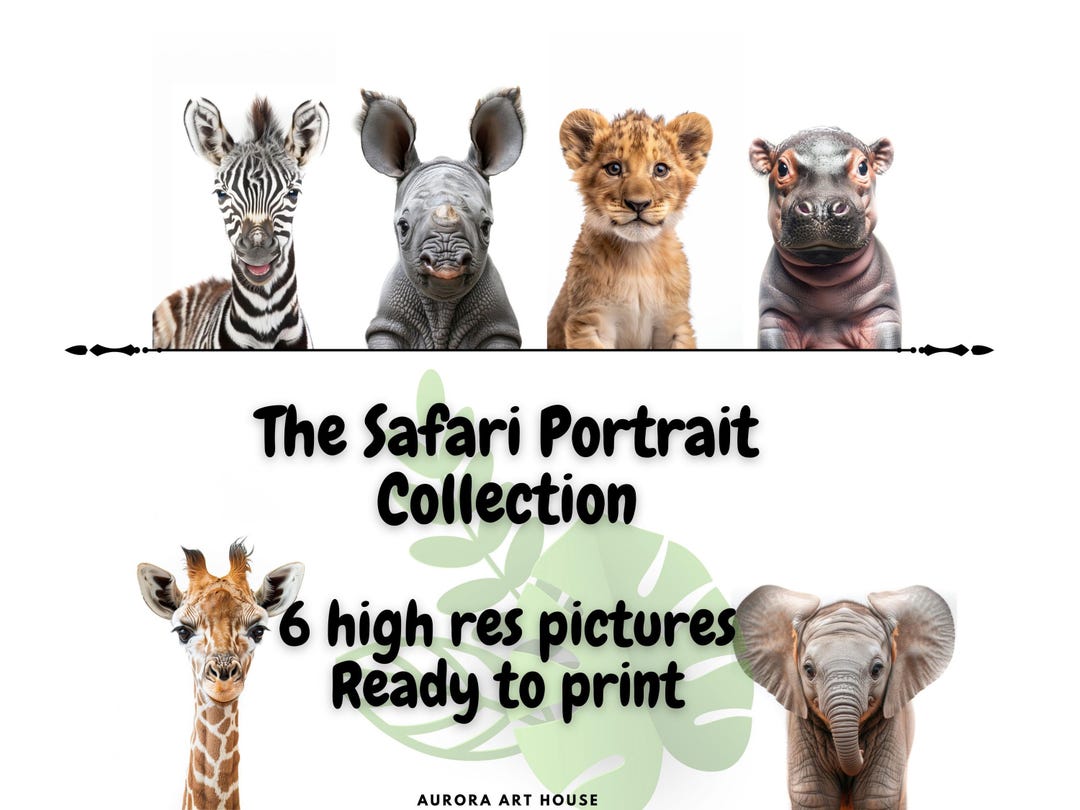 Safari Portrait Collection Set of 6 Animals Nursery/ Kids Room Pictures ...