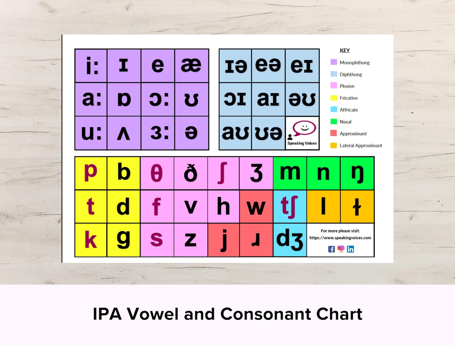International Phonetic Alphabet Flashcard Bundle for Children and Adults | IPA Cards | Speech ...