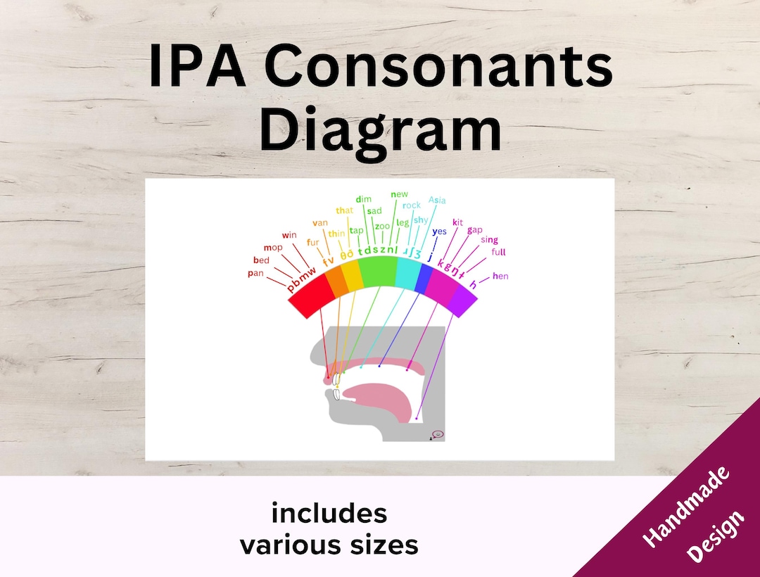 International Phonetic Alphabet Consonants Diagram for Children and ...