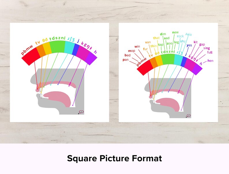 International Phonetic Alphabet Consonants Diagram for Children and ...