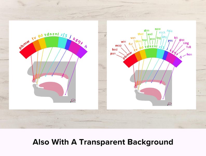 International Phonetic Alphabet Consonants Diagram for Children and ...