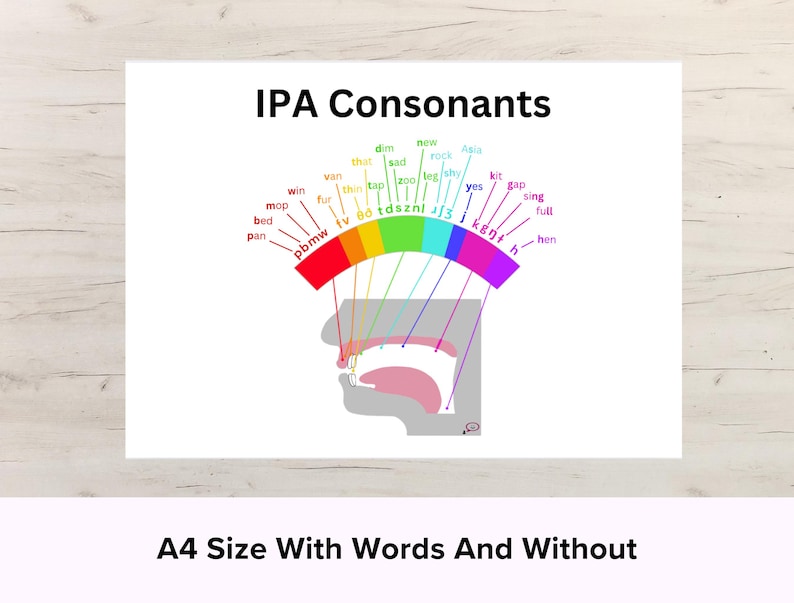 International Phonetic Alphabet Consonants Diagram for Children and ...