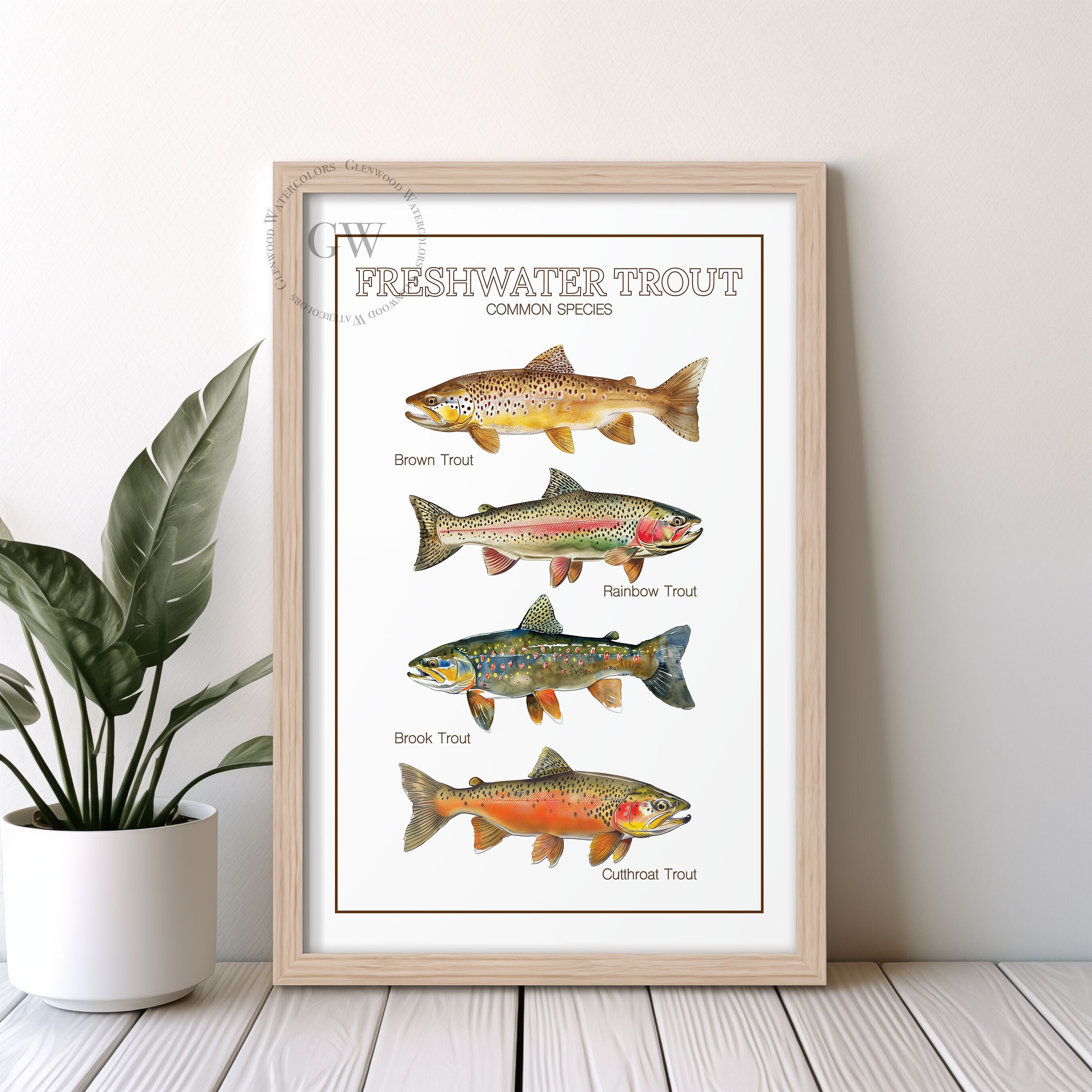Watercolor Common Trout Species Poster Digital Download | Fishing Decor ...