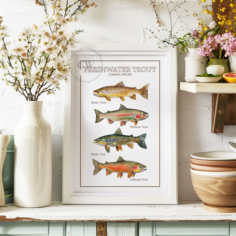 Watercolor Common Trout Species Poster Digital Download | Fishing Decor ...