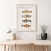 Watercolor Common Trout Species Poster Digital Download | Fishing Decor ...