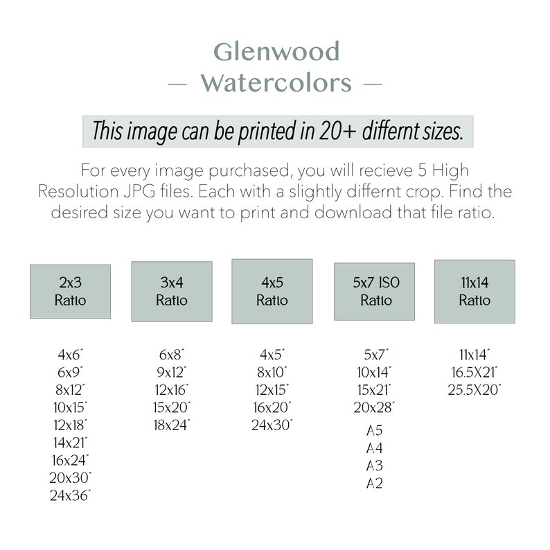 Watercolor Root Vegetable Art | Let's Root for Each Other | Kitchen ...