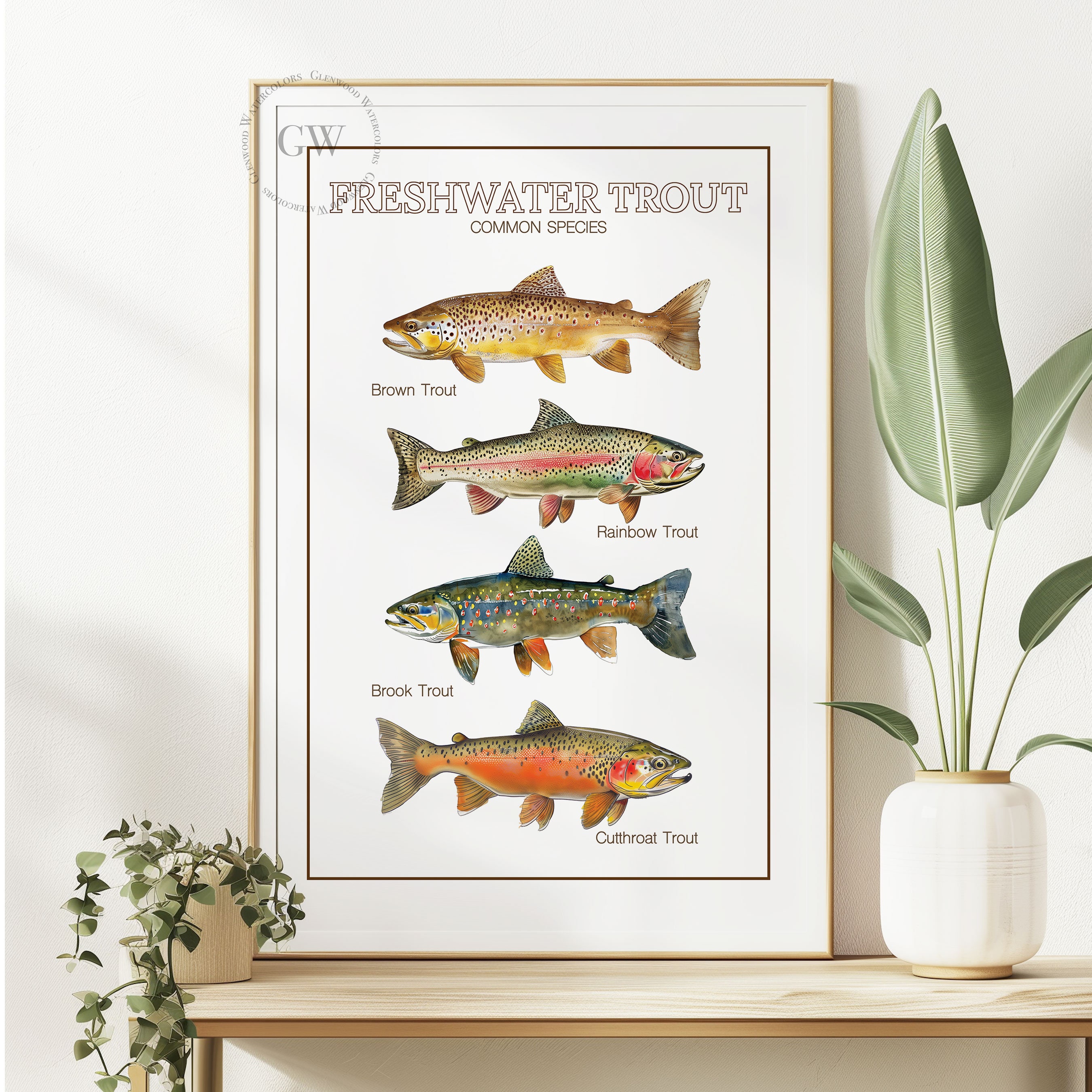 Watercolor Common Trout Species Poster Digital Download | Fishing Decor ...