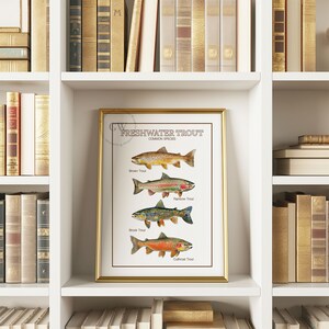 Watercolor Common Trout Species Poster Digital Download | Fishing Decor ...