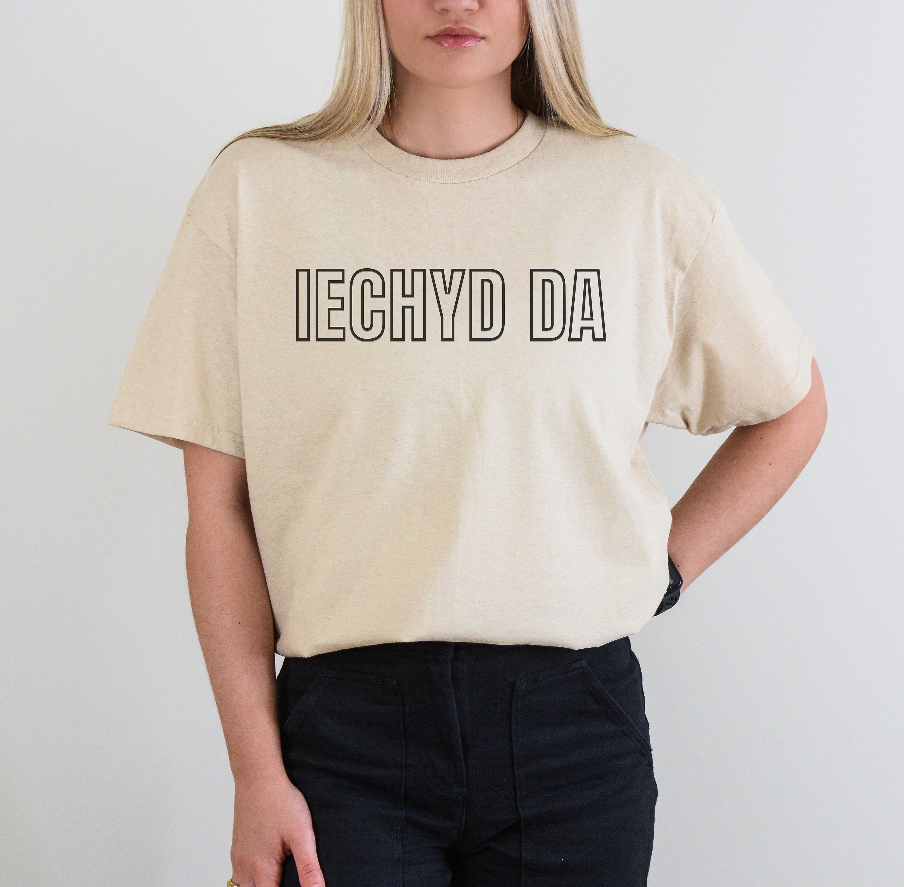 Welsh T-shirt Welsh Phase T-shirt Iechyd Da Meaning Good Health in ...