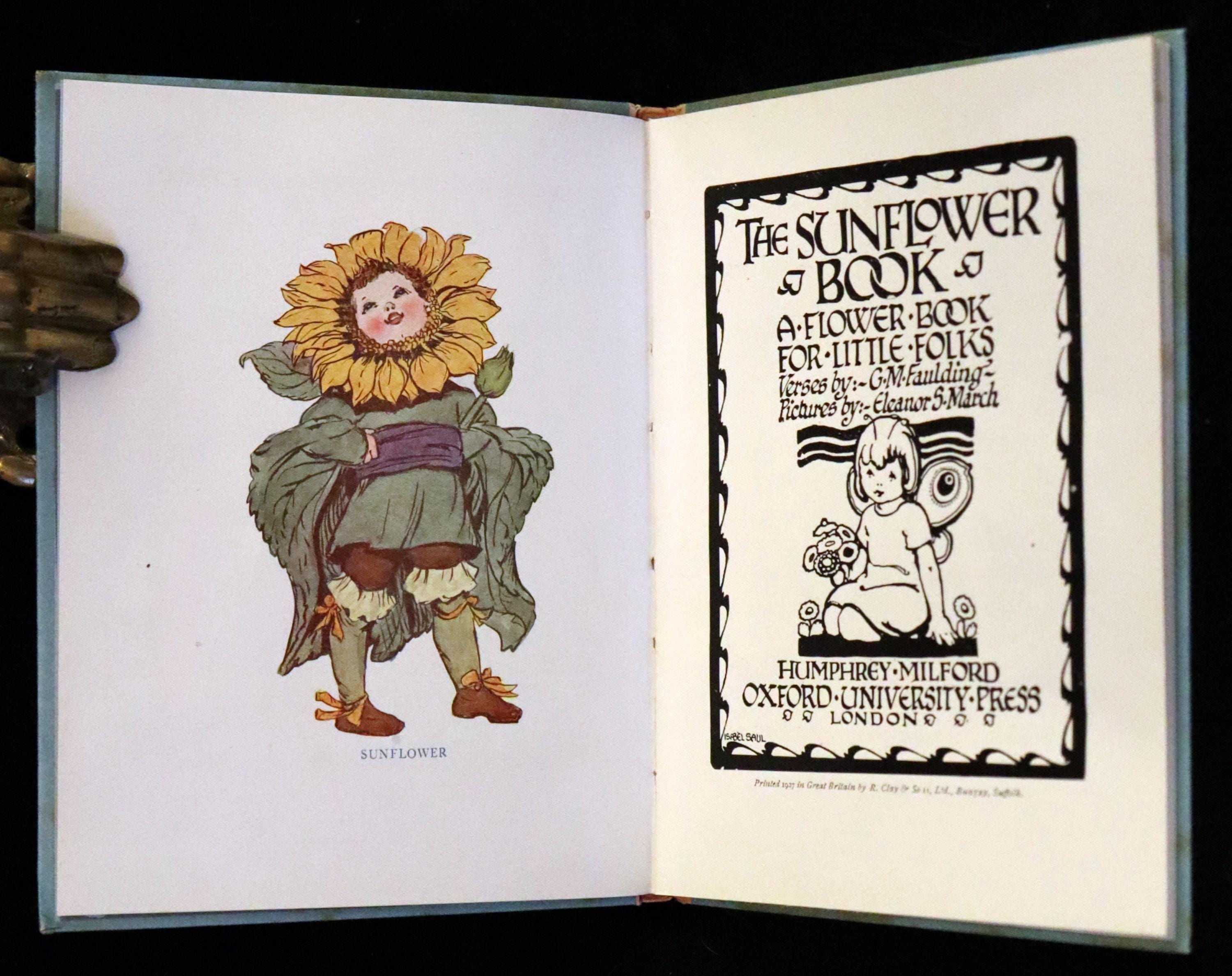 1927 Rare First Edition - the Sunflower Book, A Flower Book Illustrated ...