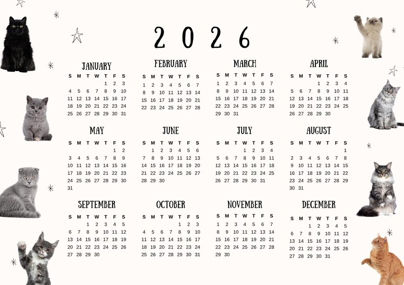 Simple Cute Funny 2026 Cat Calendar - Etsy