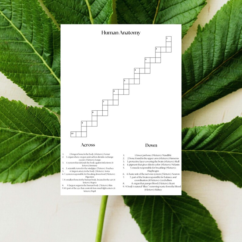 Sip and Solve Puzzle Game Printable, Crossword Puzzles Game, Printable ...