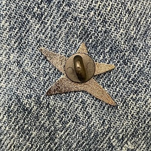 Gold Star Pin Your Did It Enamel Pin - Funny Gift Under 5 Dollars ...