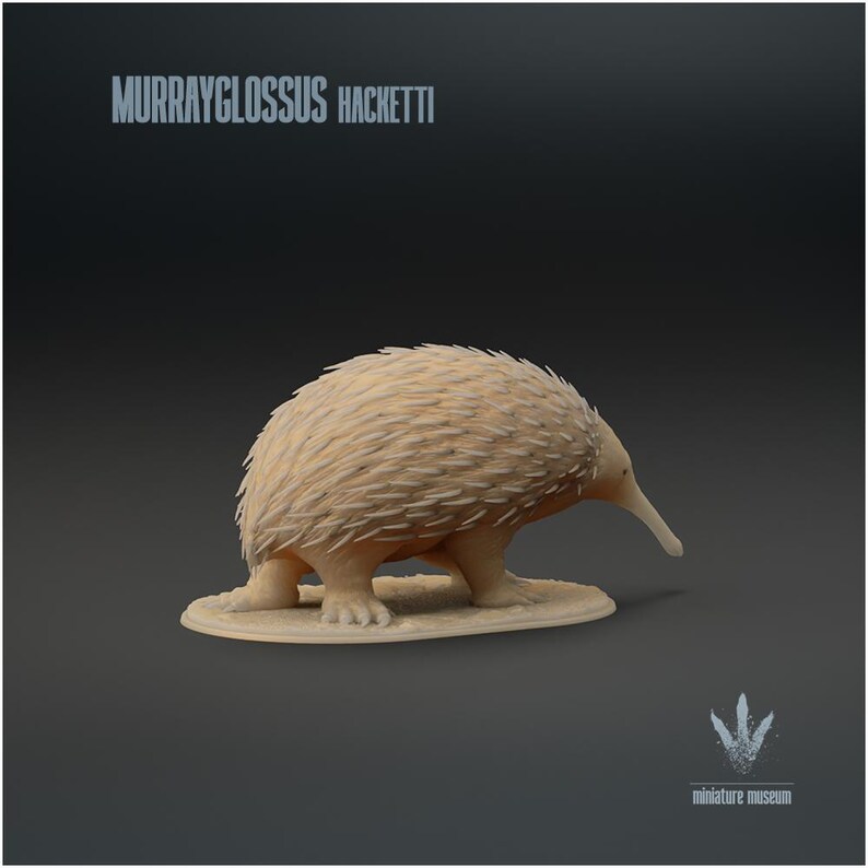 Murrayglossus Hacketti, Dinosaur Figurine, Dinosaur Miniature for ...