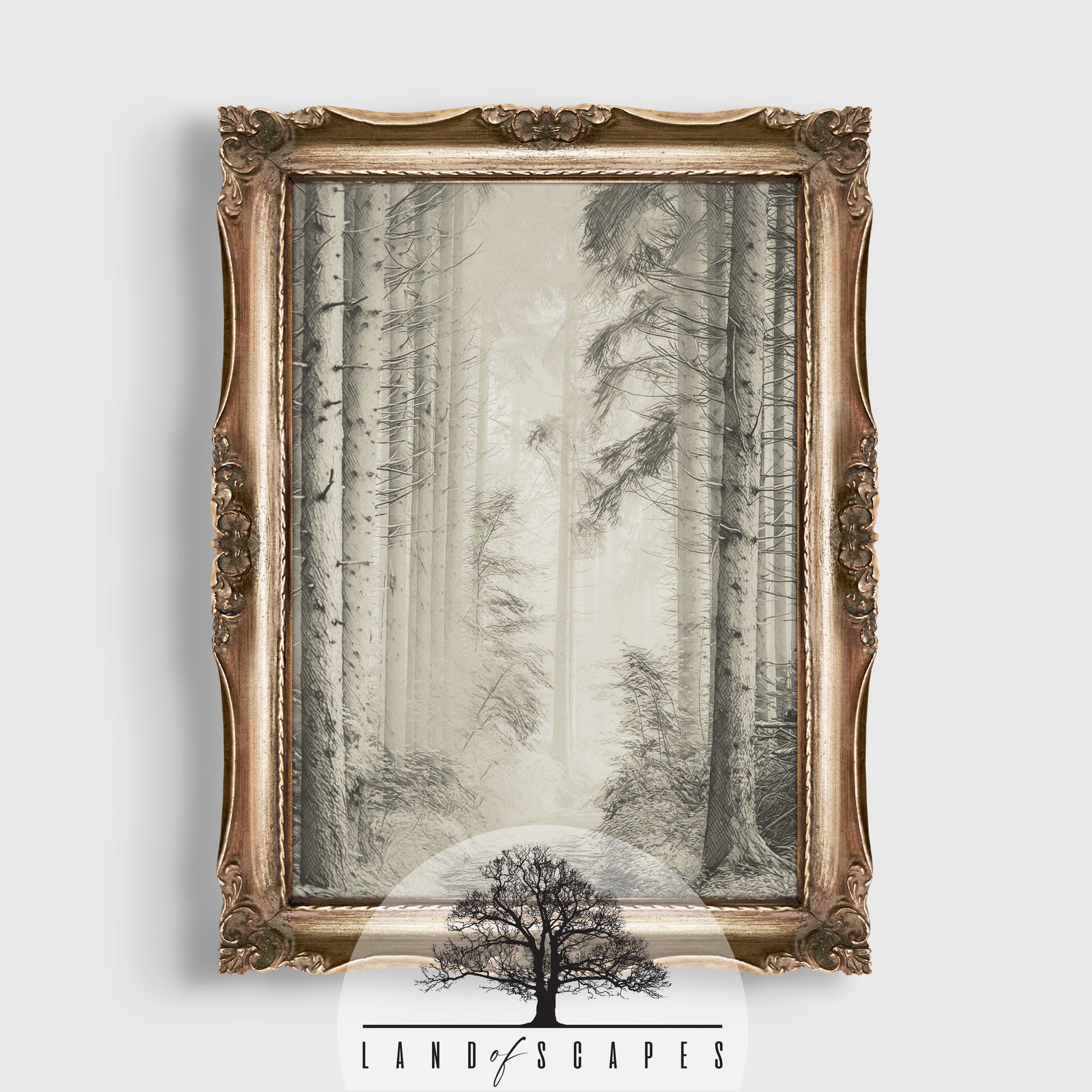 Vintage Tree and Trail Through Art | Classic Simply Beautiful Forest ...
