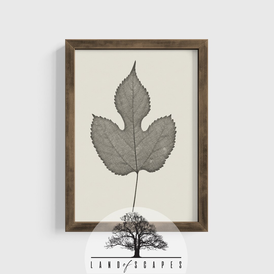 Leaf and Leaves Art | Classic Single Leaf Print | Vintage Look Tree ...