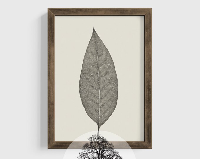 Flower and Leaf Botanical Prints set of 6 8x10s - Etsy