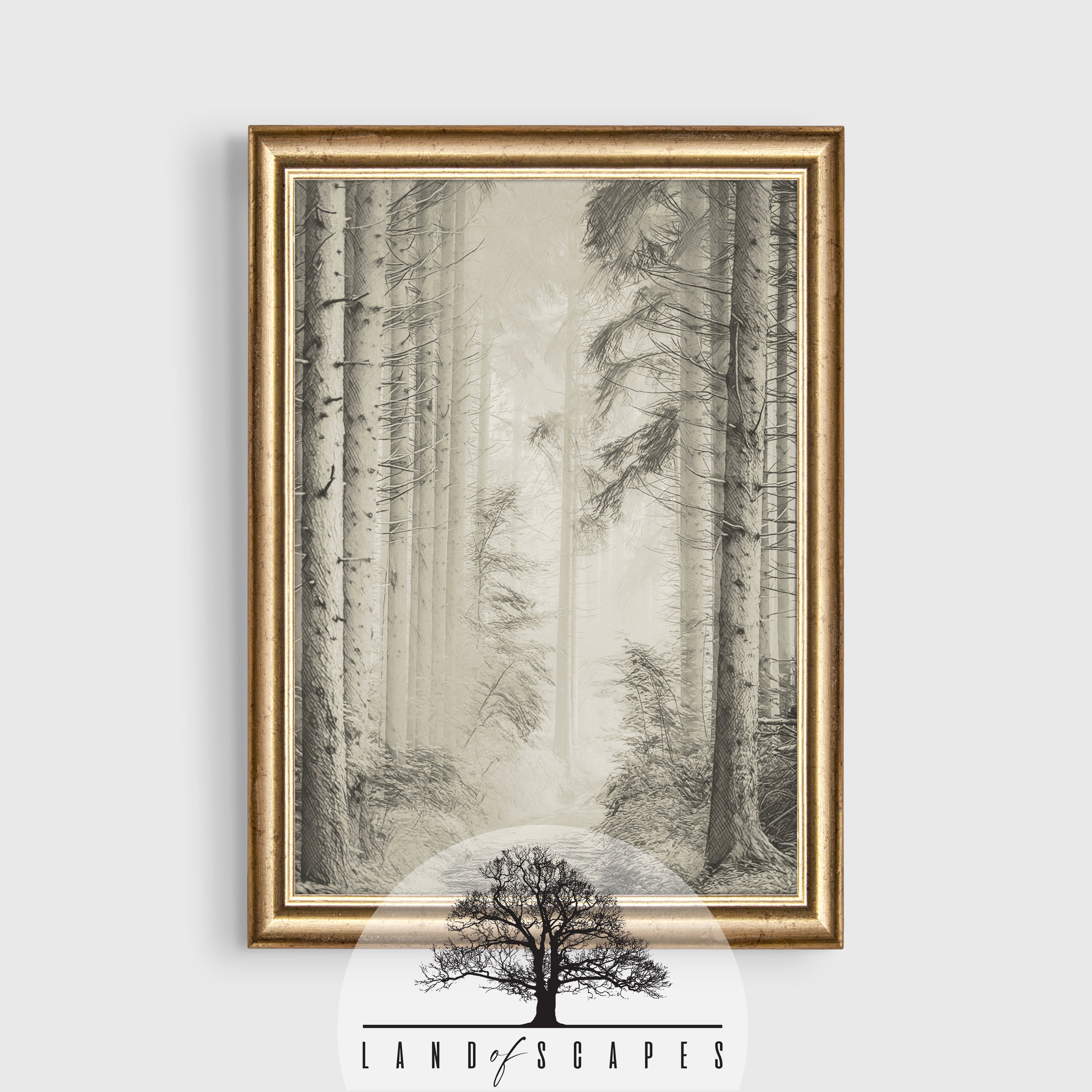 Vintage Tree and Trail Through Art Classic Simply Beautiful Forest ...