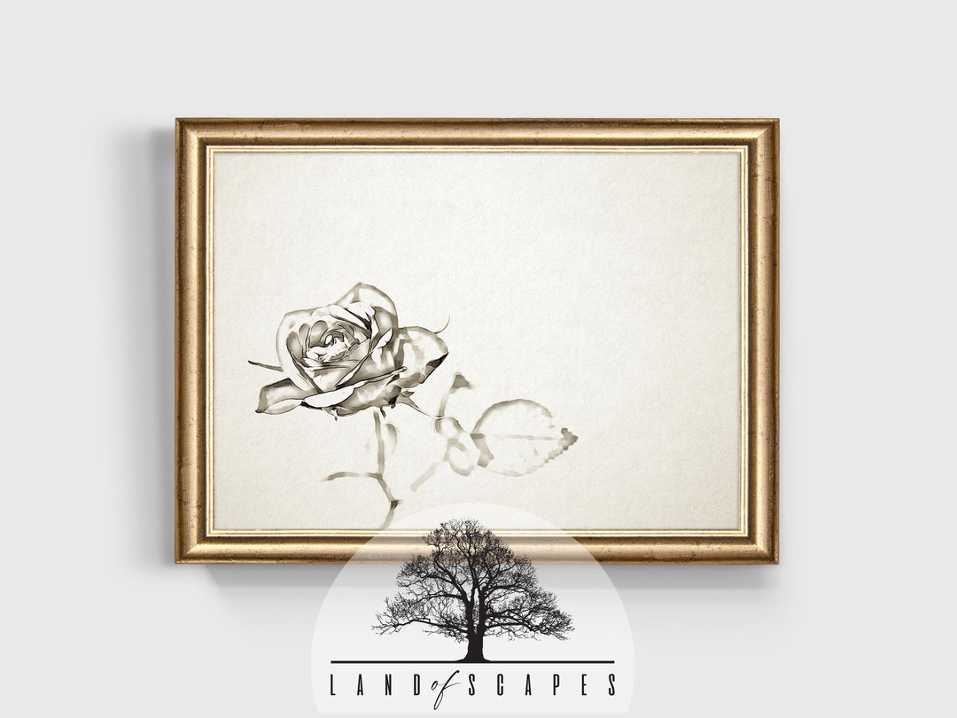 Vintage Style Single Rose Art | Classic Simple Rose Design | Neutral ...