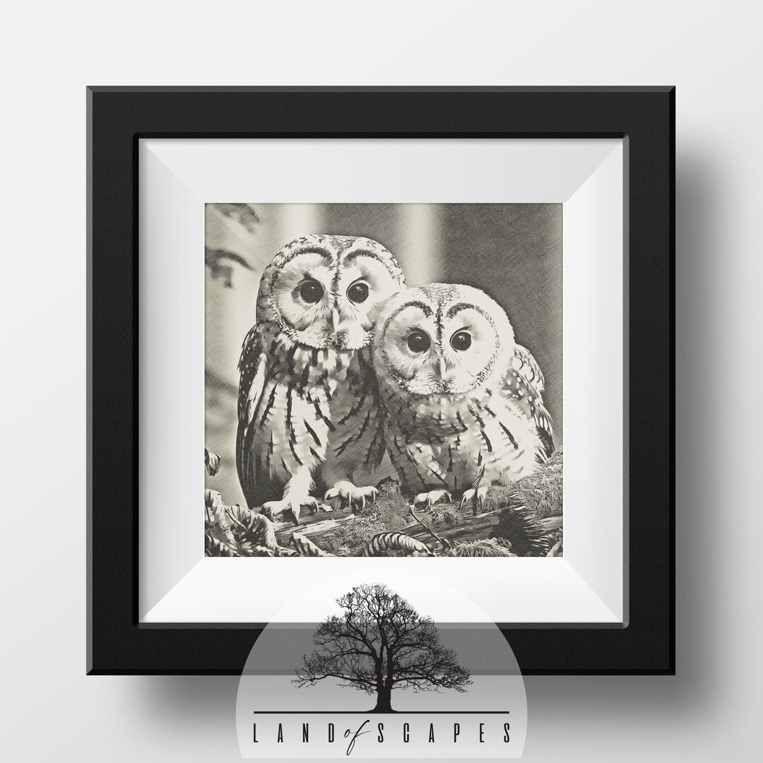 Classic Owl Sketch Style Print Art | Unique Animal Pairs Design ...
