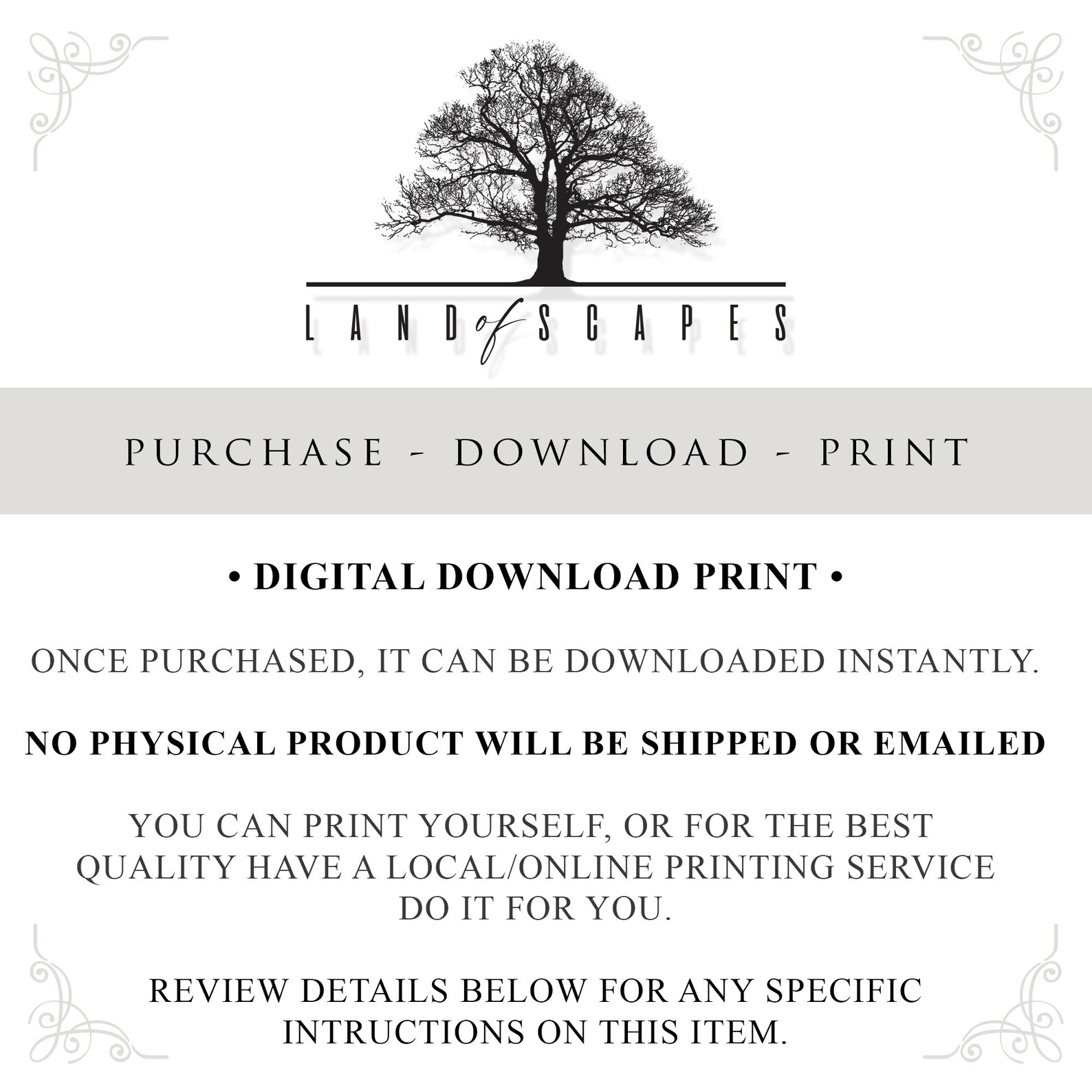 Vintage Look Roman Colosseum Art Antient Roman Structures Print Classic ...