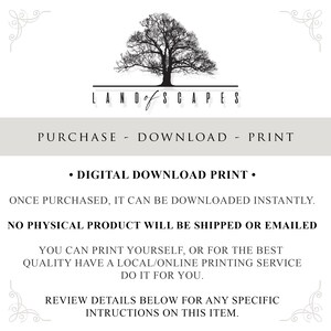 Vintage Look Roman Colosseum Art | Antient Roman Structures Print ...