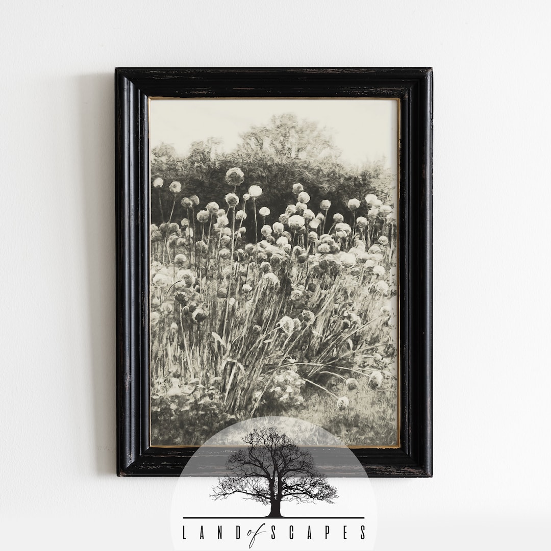 Vintage Style Wildflower Design | Simple Flowering Art | Classic Nature ...