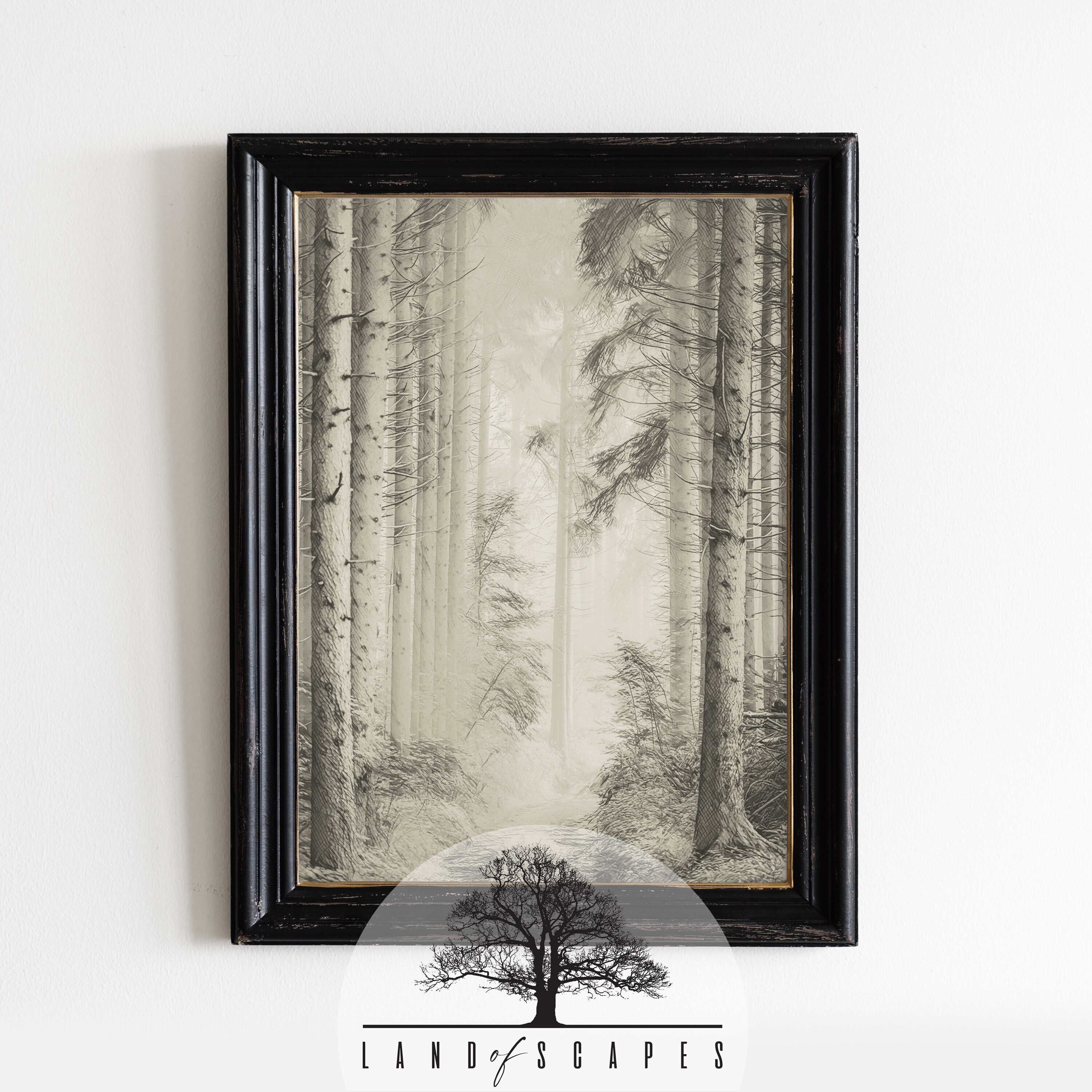 Vintage Tree and Trail Through Art Classic Simply Beautiful Forest ...