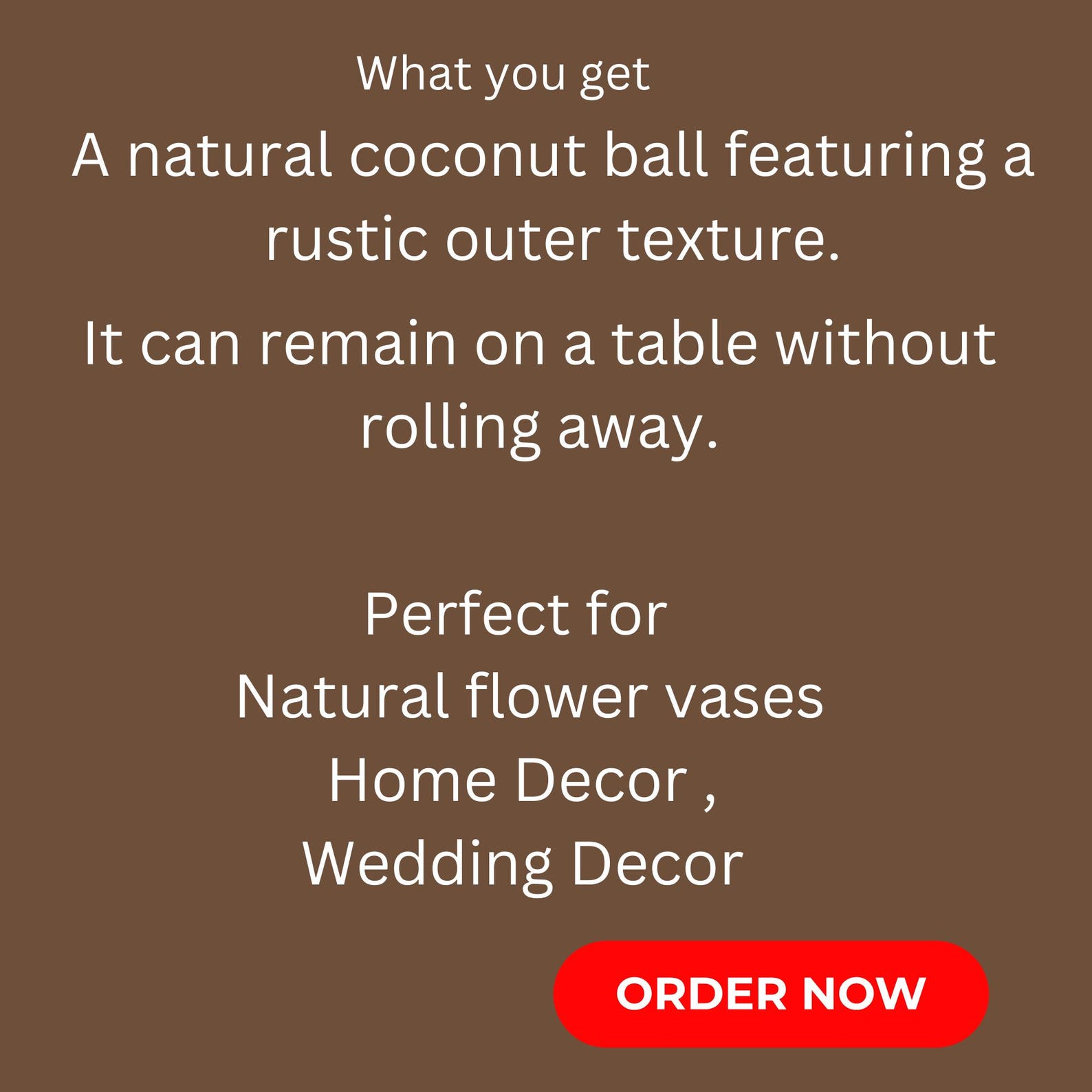 Natural Coconut Shell Flower Vases, Wedding Decor, Home Decor, Table ...