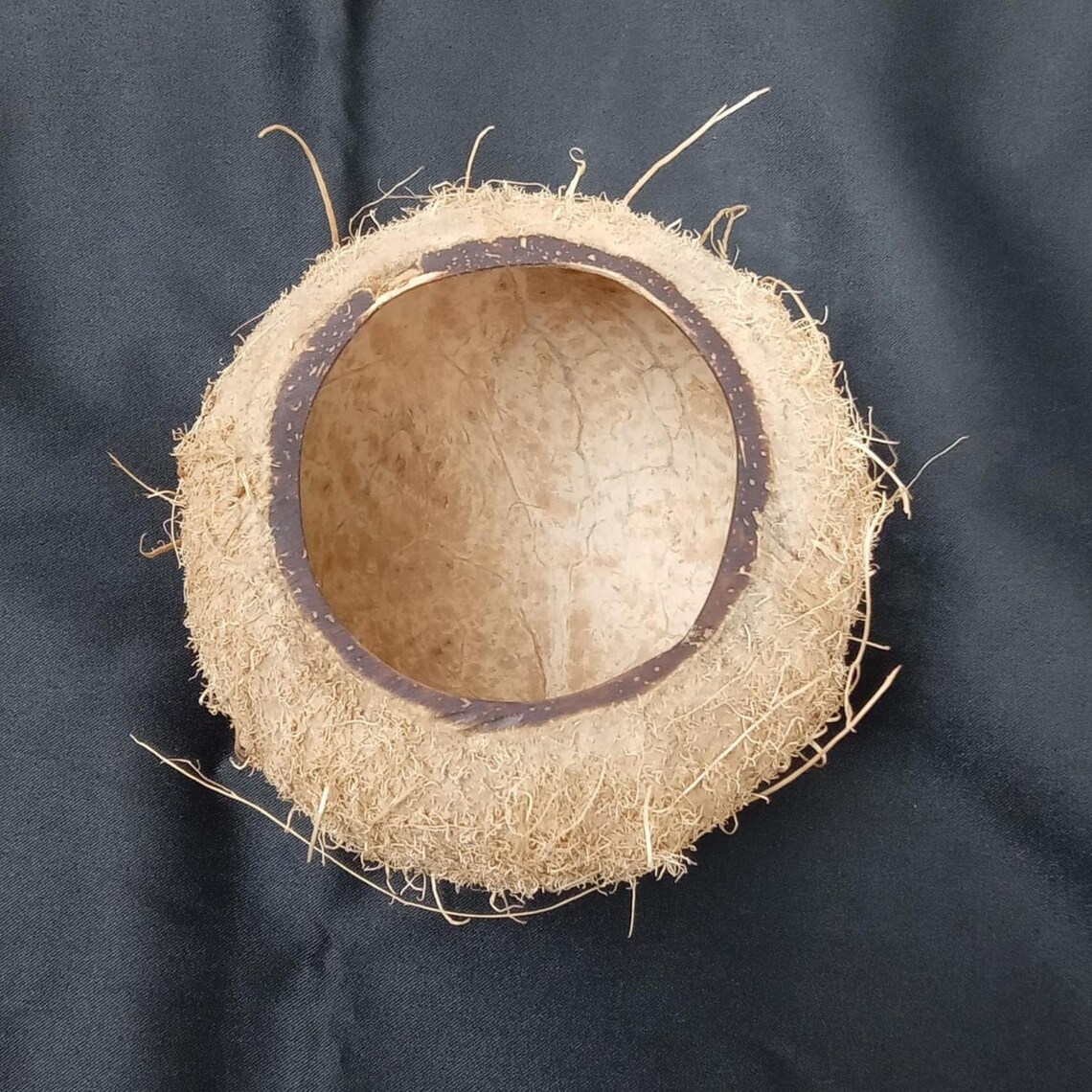 Natural Coconut Shell for Flower Vases, Containers, Home Decor, DIY ...