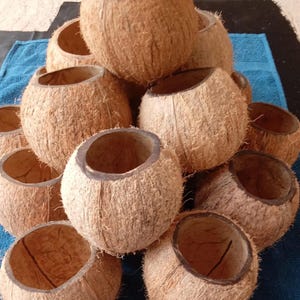 Real Coconut Cup for Party Decor, Natural Flower Vase, Aloha Theme ...