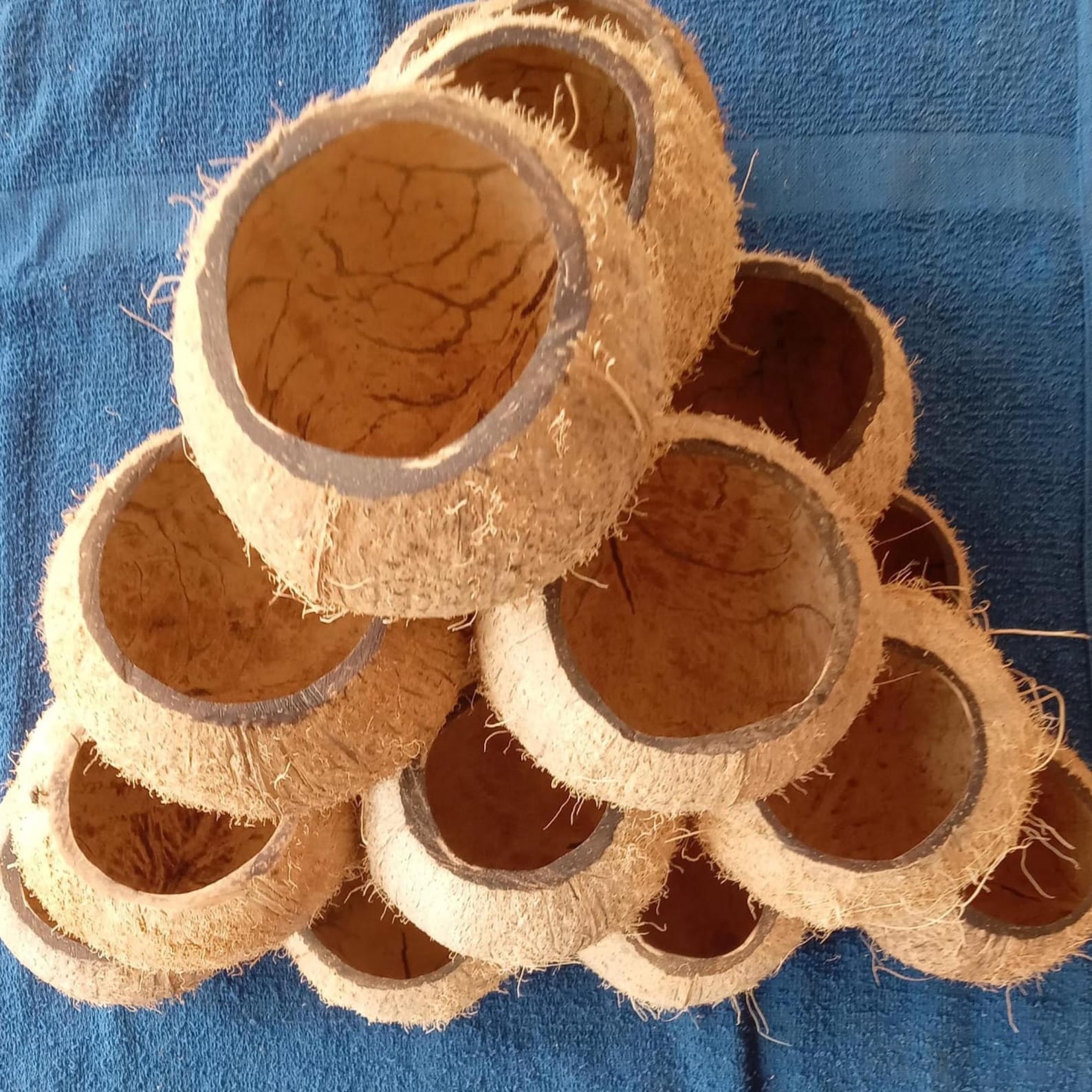 Natural Coconut Shell Flower Vases, Wedding Decor, Home Decor, Table ...