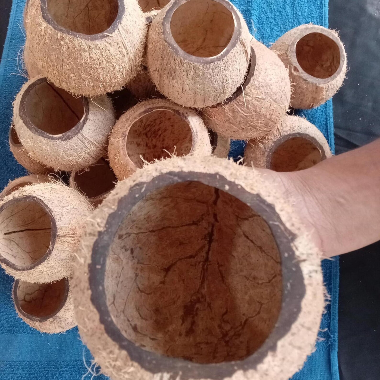 Real Coconut Cup for Party Decor, Natural Flower Vase, Aloha Theme ...