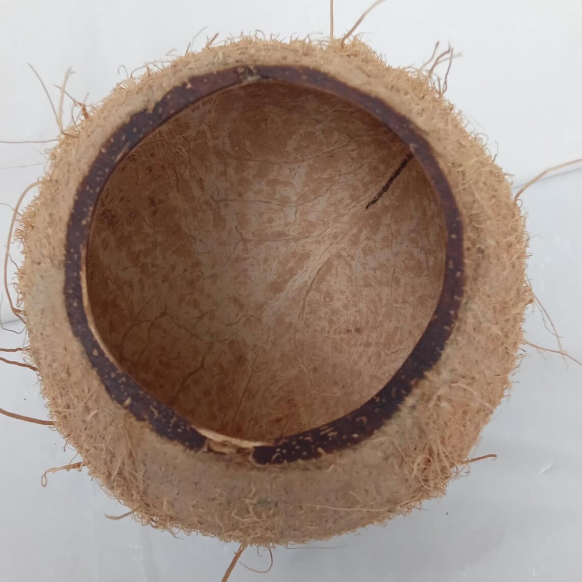 Real Coconut Cup for Party Decor, Natural Flower Vase, Aloha Theme ...
