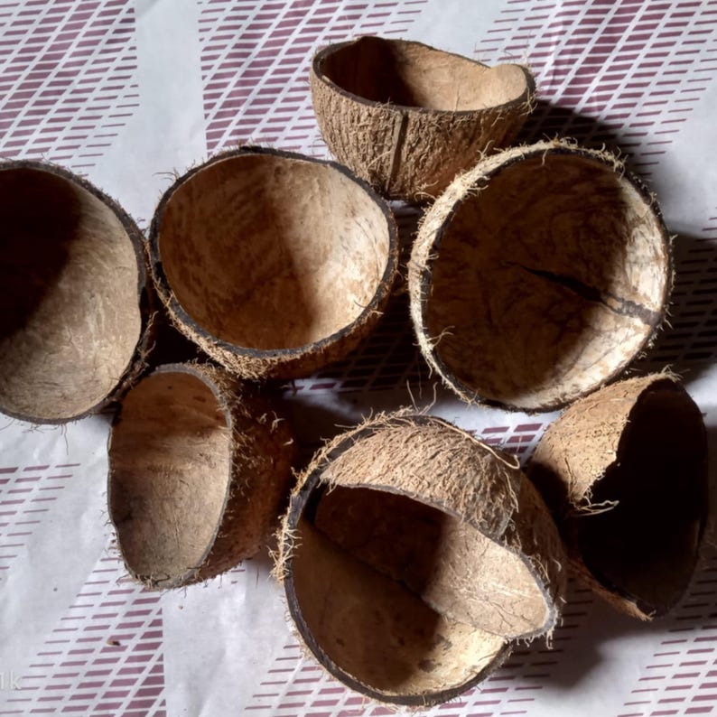 Natural Coconut Shell Halves for Candle, Beads, Jewelry, Ornaments ...