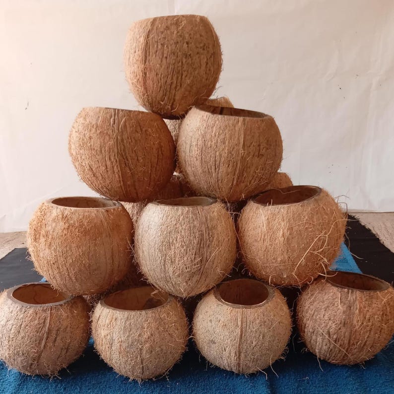 Natural Coconut Shell Flower Vases, Wedding Decor, Home Decor, Table ...