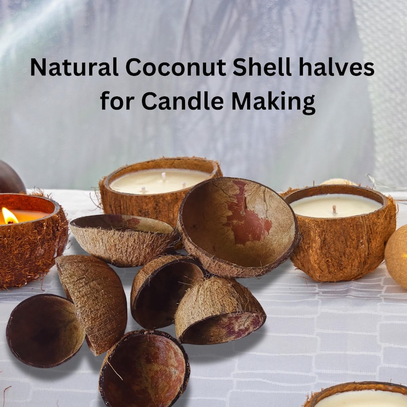 Natural Coconut Shell Halves in Bulk for Candles, Coconut Bowls, Beads ...