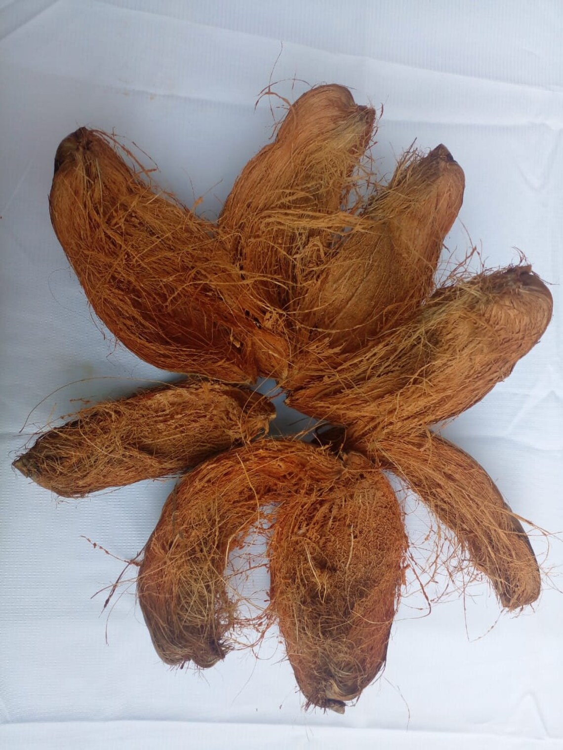 Natural Coconut Husk, Sun Dried Coconut Husk for Orchid, Indoor Plants ...