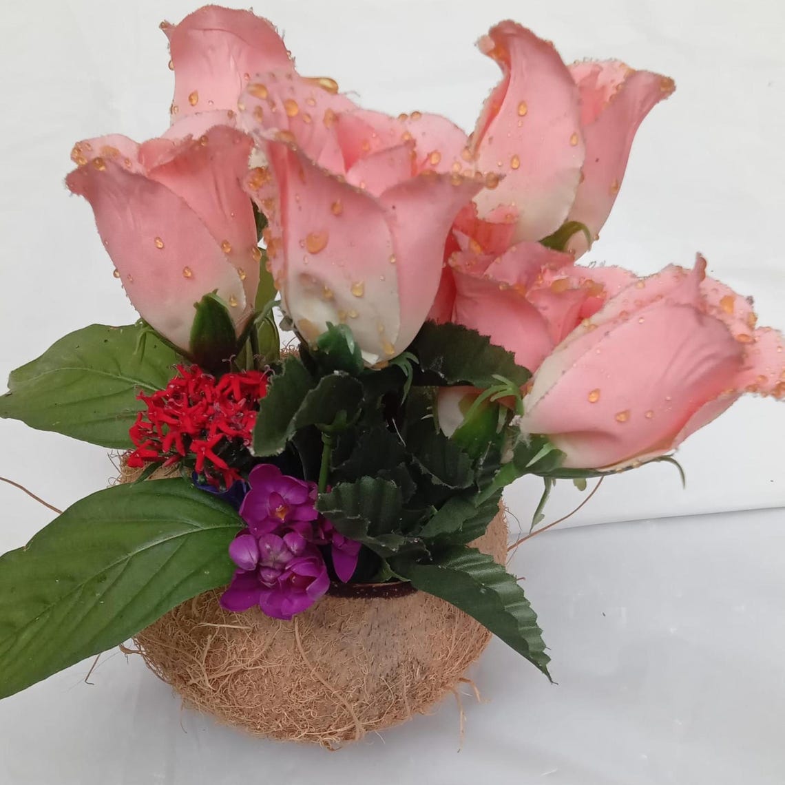 Natural Coconut Shell for Flower Vases, Containers, Home Decor, DIY ...