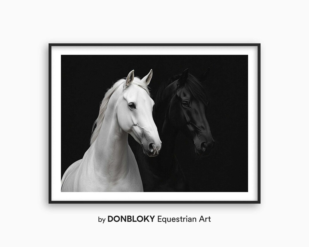 A Striking Black and White Horse Duo Emerges From Darkness, a Dramatic ...