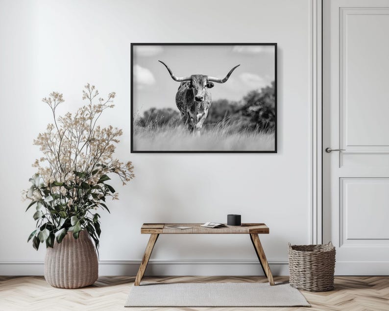 Texas Longhorn Portrait: Black and White Fine Art Photography (digital ...