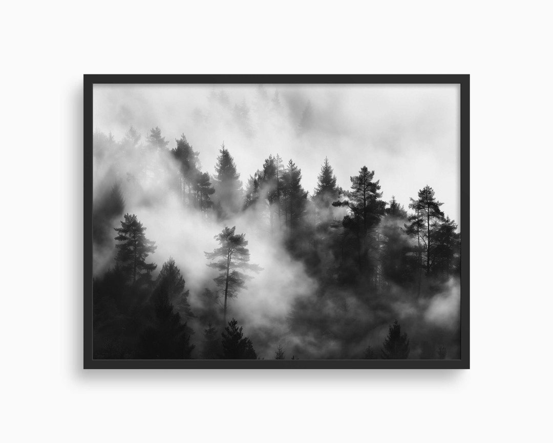 Trees Shrouded in Fog Fine Art Photo Poster Black White Misty Forest ...
