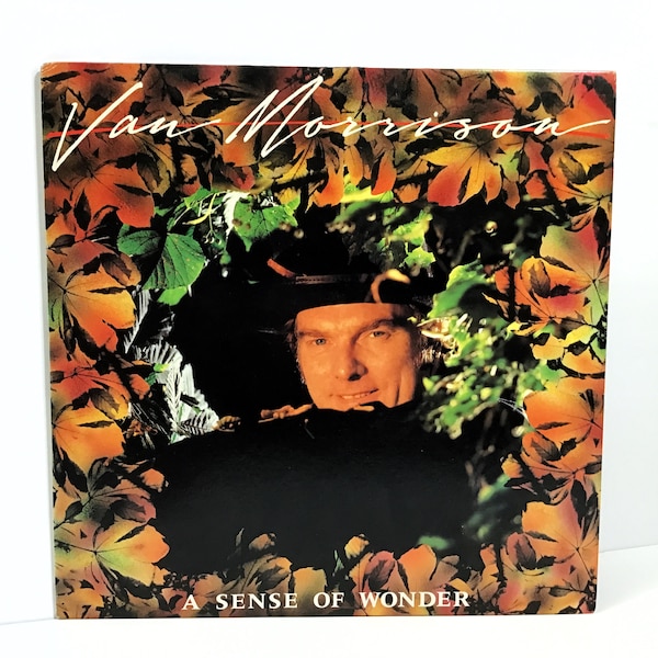 Sense of Wonder - Etsy