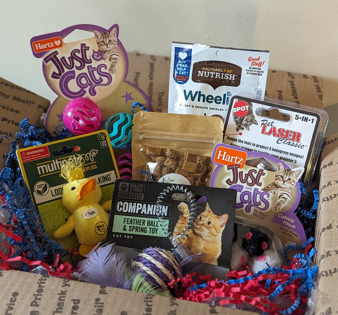 Pet Mystery Box|for Dog or Cat|toys, Treats, Bowls, Etc. - Etsy